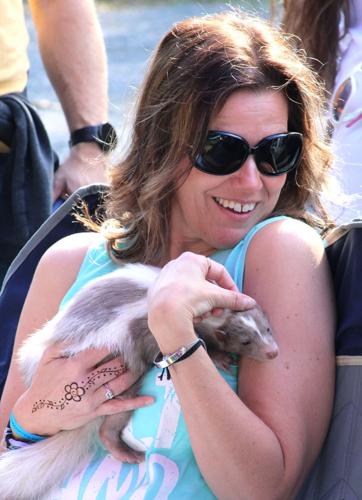 39th Annual Manatee Festival draws thousands | Local News ...