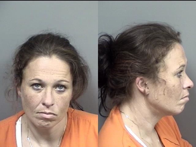 CCSO mugshots from March 15 | Crime & Courts | chronicleonline.com