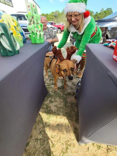 Vendors show their festive side in Panacea Christmas Village Craft Show ...