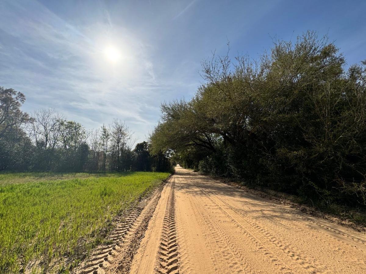 ‘Rural Renaissance’ rolls through the Senate again | Florida News ...