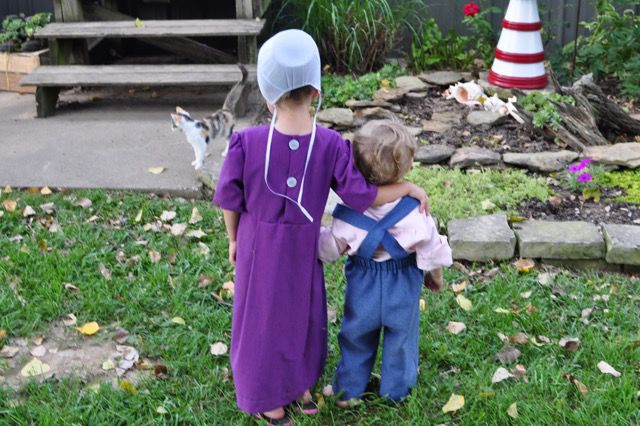Amish Cook 8/25/16: A visitor’s view of the Yoders; Amish fiction ...