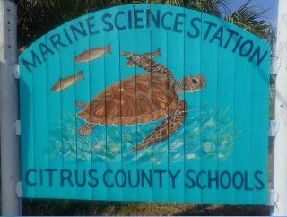 Applications open for Coastal Camp Citrus at Marine Science Station ...