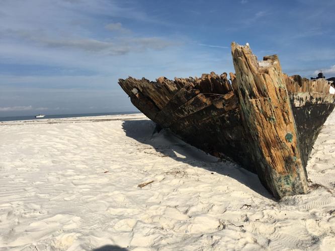 Dog Island Is Moving: How and What It Means | Local News ...