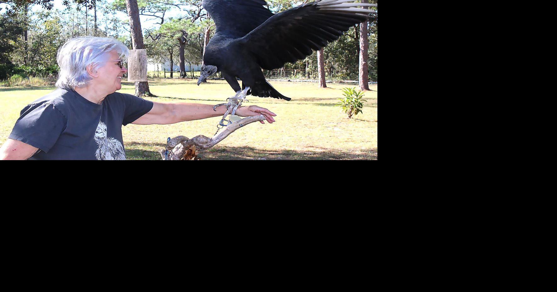 How a lottery ticket turned into a bird sanctuary | Local News ...