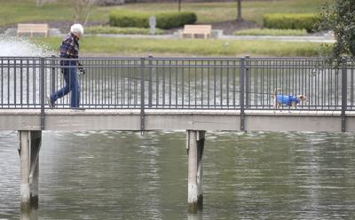 As near record cold creeps, keep pets safe | Local News ...