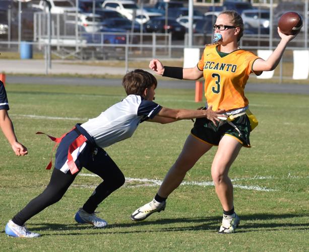 Panthers tripped up by underdog Bears | Sports | Citrus County ...