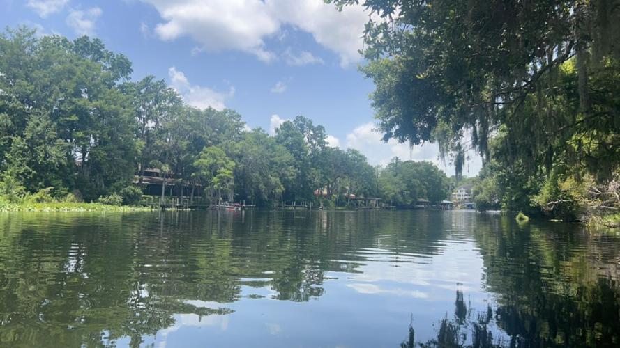 Fish kill, dead turtles reported amid algal bloom on Withlacoochee ...