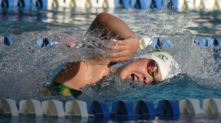 Lapping the competition in the pool | Local Sports | chronicleonline.com