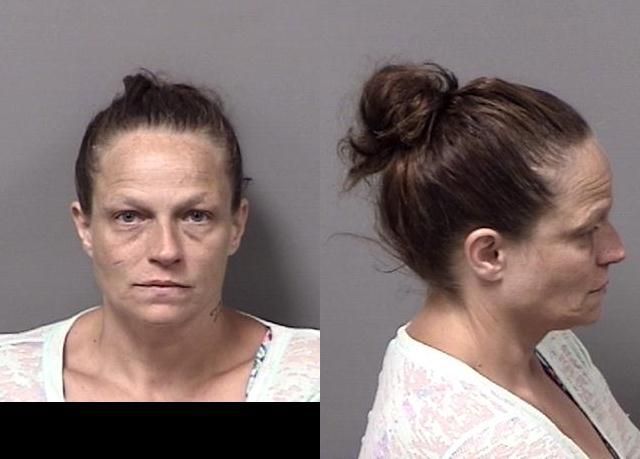 Couple faces meth-trafficking charges | Local News | chronicleonline.com