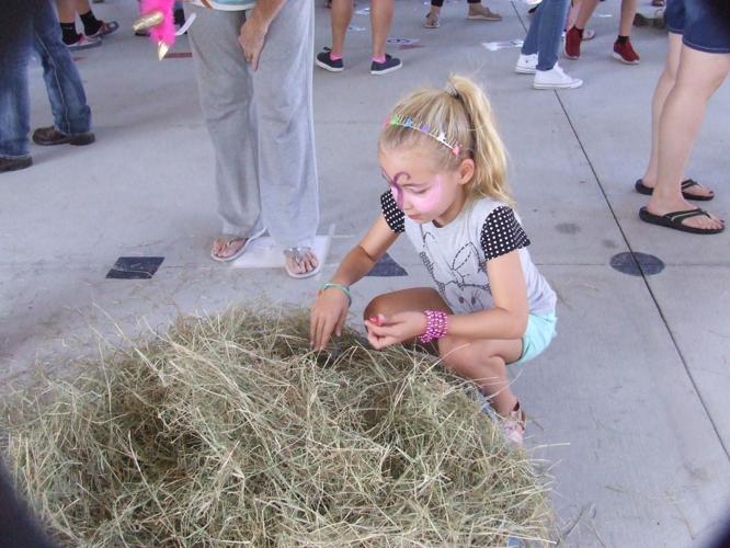 Celebrating fall fun at Crystal River Primary | Education ...