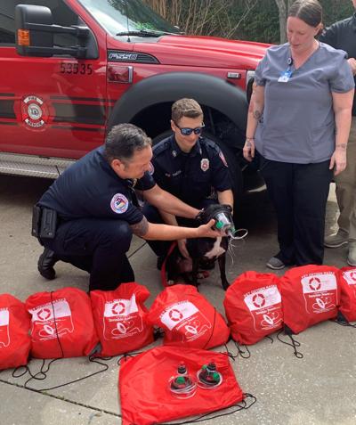Company donates pet resuscitation masks to Citrus County Fire Rescue ...