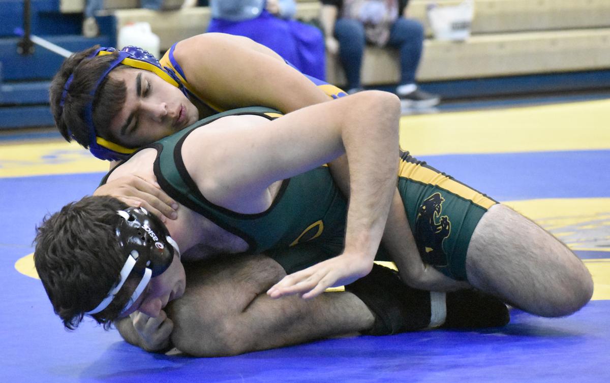 Pinning down Citrus County’s best wrestlers | Sports | chronicleonline.com