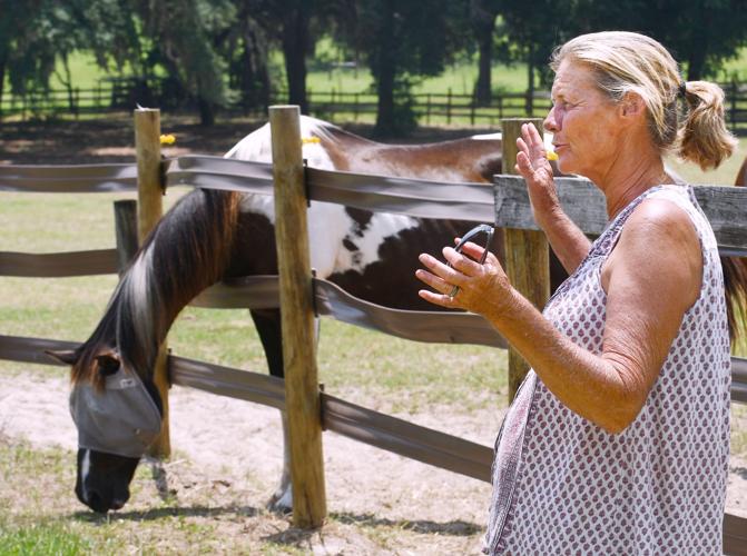 No thrill: Blueberry Hill farm dreads Holder industrial park | Local ...