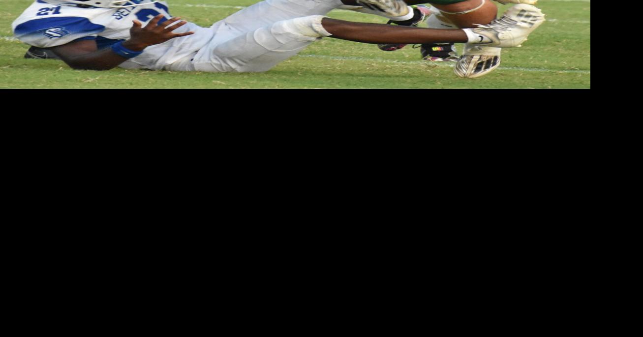 Panthers pull away | Sports | Citrus County Chronicle | chronicleonline.com