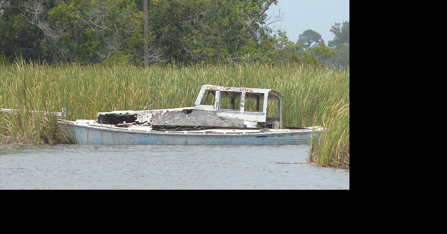 Florida legislation focuses on easing removal of at-risk, 'nuisance ...