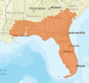 Gopher Tortoises in Florida | Real Estate | chronicleonline.com