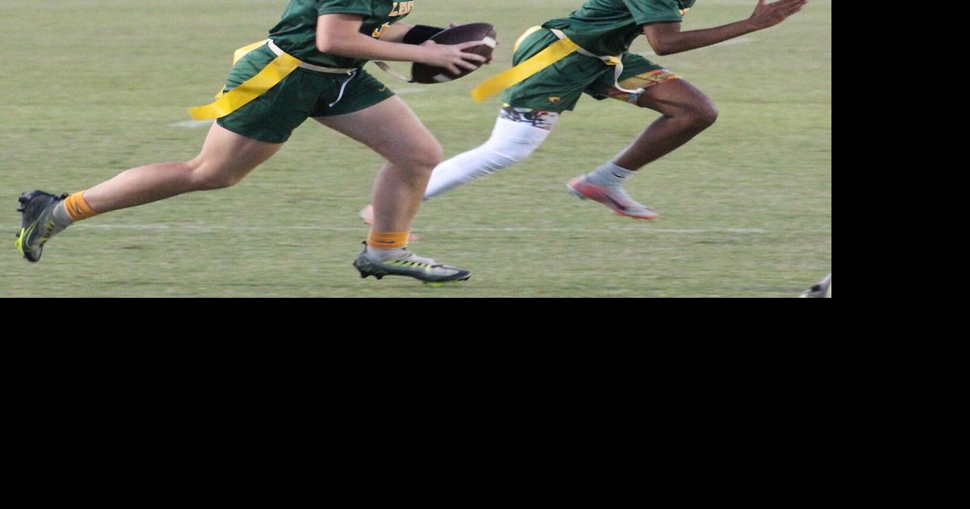 Panthers blank Buffalo in regional opener | Local Sports ...