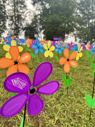 Hundreds walk in Ocala for Alzheimer's research, care | Lifestyle ...