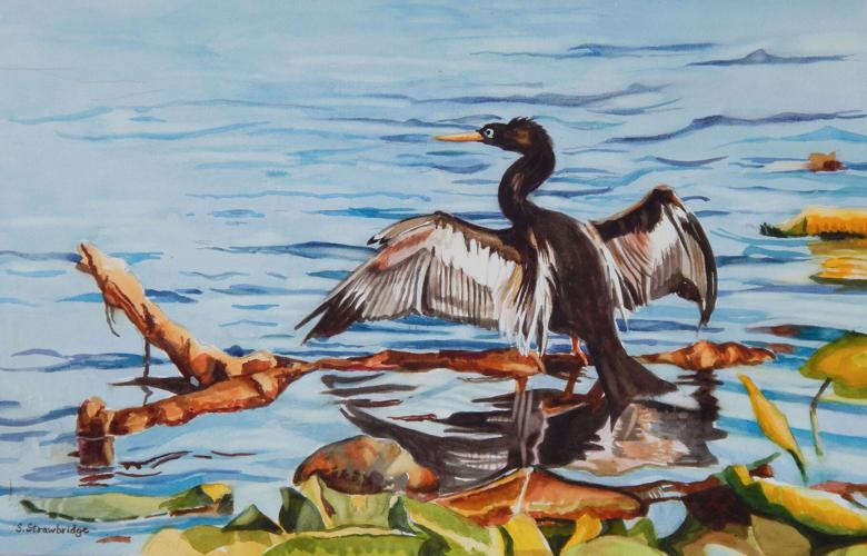 Susan Strawbridge is March’s featured artist at Lakes Region Library ...