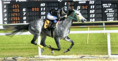 Dunnellon jockey, trainer keeps winning | Local News | chronicleonline.com