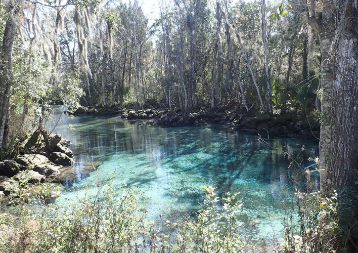 Visit Three Sisters Springs | | chronicleonline.com