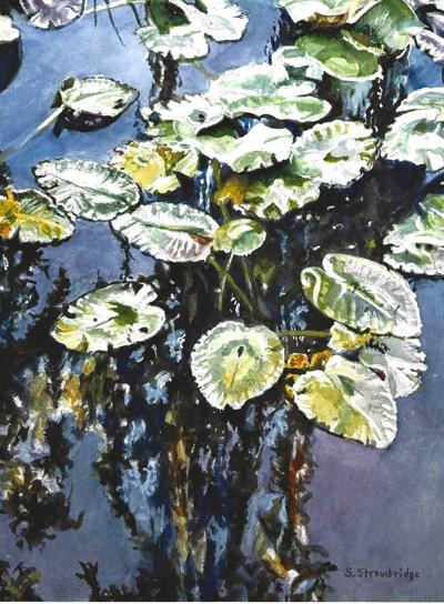 Old Courthouse Museum hosts ‘Places of the Soul’ exhibition of artOasis ...