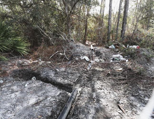 Wakulla Sheriffs arrest public nuisances | Local News | chronicleonline.com Wakulla Sheriffs arrest public nuisances | Local News | chronicleonline.com
