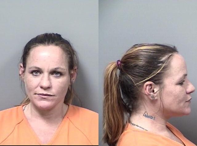 Citrus County Mugshots Jan. 16, 2017 | Crime & Courts | chronicleonline.com