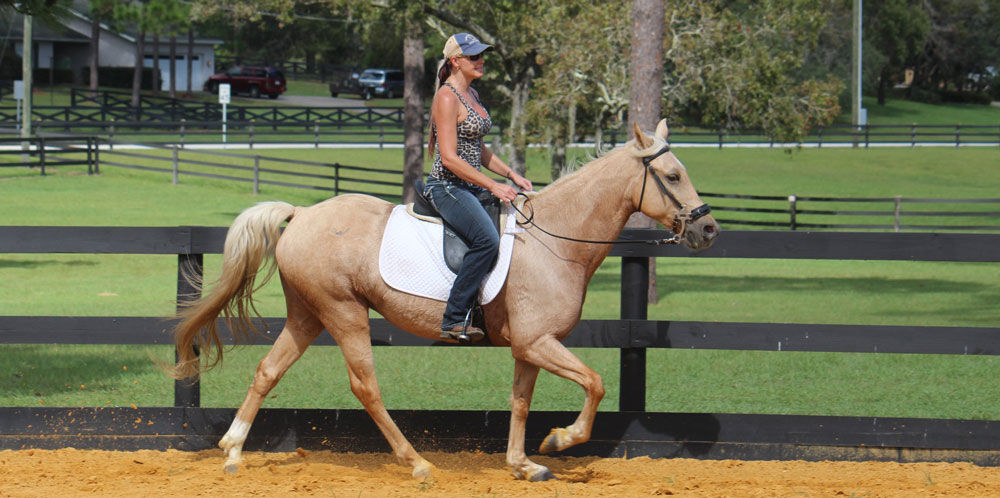 Take a tour of the Pine Ridge Equestrian Center | | chronicleonline.com