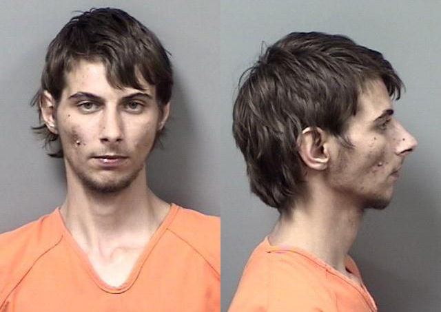 Four arrested on grand theft, burglary charges | Local News ...