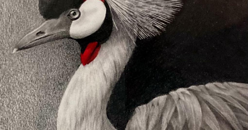 Wildlife exhibit opens at Art Center | Entertainment in Citrus County ...
