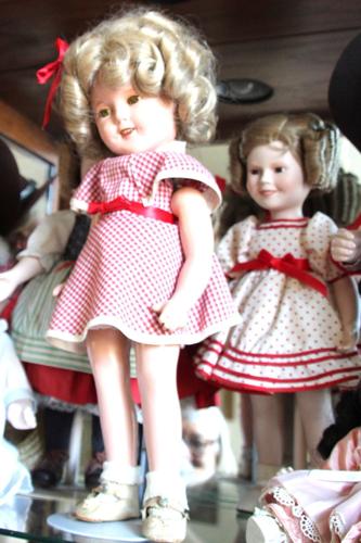 Life in Ocala Palms: Local residents’ collections reveal variety of ...