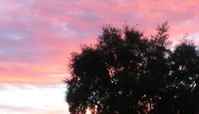 Oak Run Living: Jan. 13 | Lifestyle | chronicleonline.com