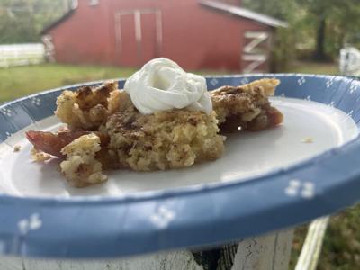 The Amish Cook: Gloria's little ones learn lessons about life ...