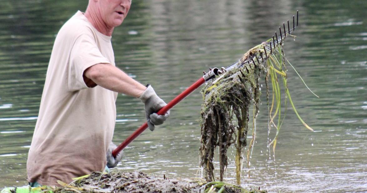 One Rake at a Time grant dollars disappear, says group president ...