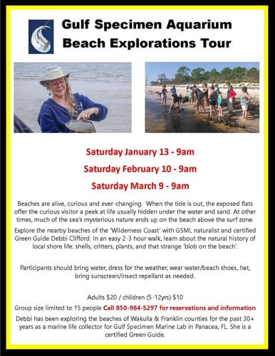 Gulf Specimen Marine Lab Beach Tour with Debbi Clifford | Local News ...