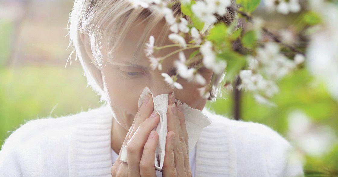 How to corral spring allergies | Local News | chronicleonline.com