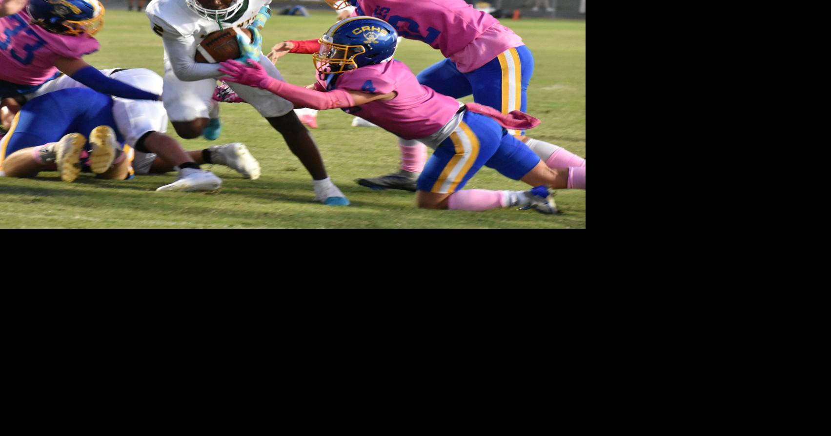 Panthers punish Pirates 28-7 | Sports | Citrus County Chronicle ...