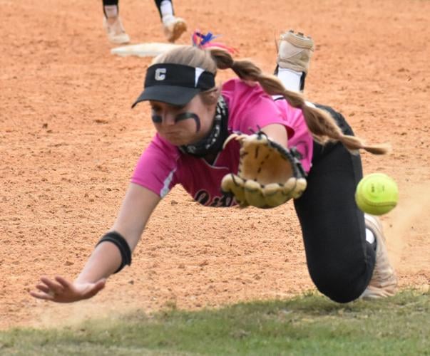 A touching tribute at Citrus-Lecanto softball game | Local Sports ...
