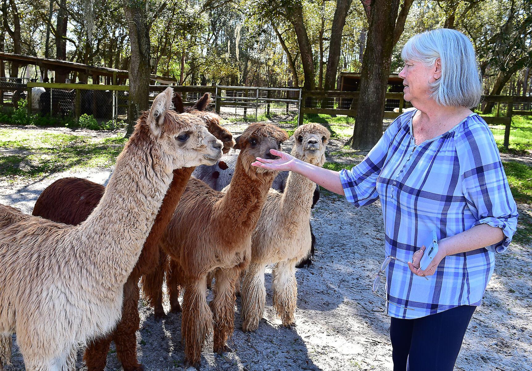 Page B1 | e-Edition | chronicleonline.com