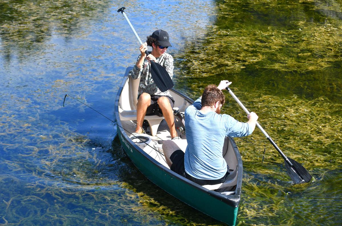 Cooter Pond to lose some unwanted Hydrilla | Local News ...