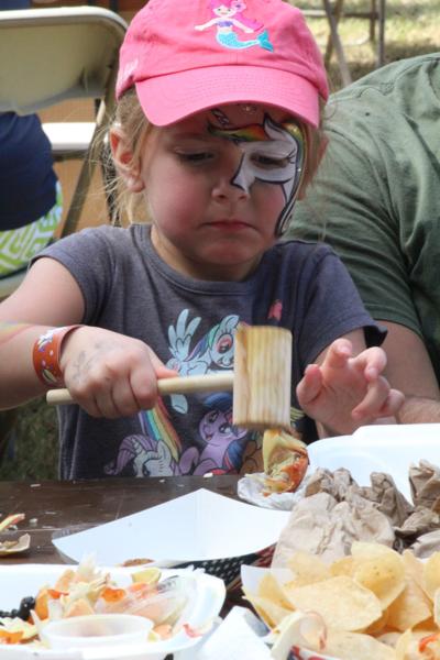 Stone Crab Jam Saturday, Nov. 4 | Local News | chronicleonline.com