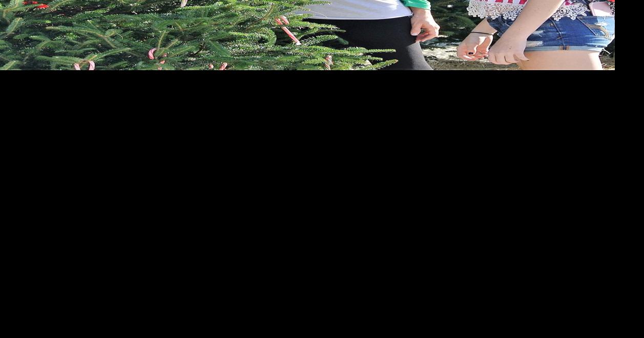 Christmas tree giveaway for 20 local families | Local News ...