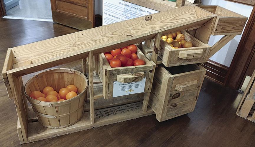 Fruit Sorter | Community | chronicleonline.com