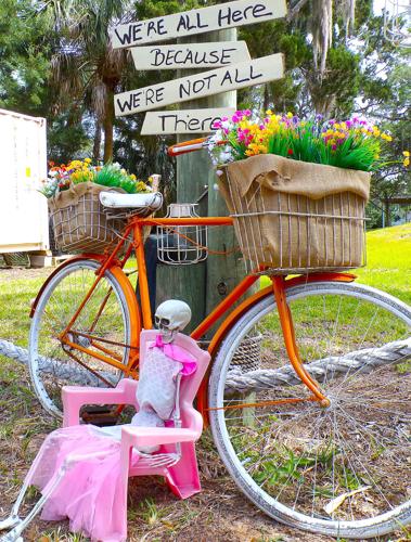 Bikes in Bloom: Residents of Ozello celebrate spring with bicycles and ...