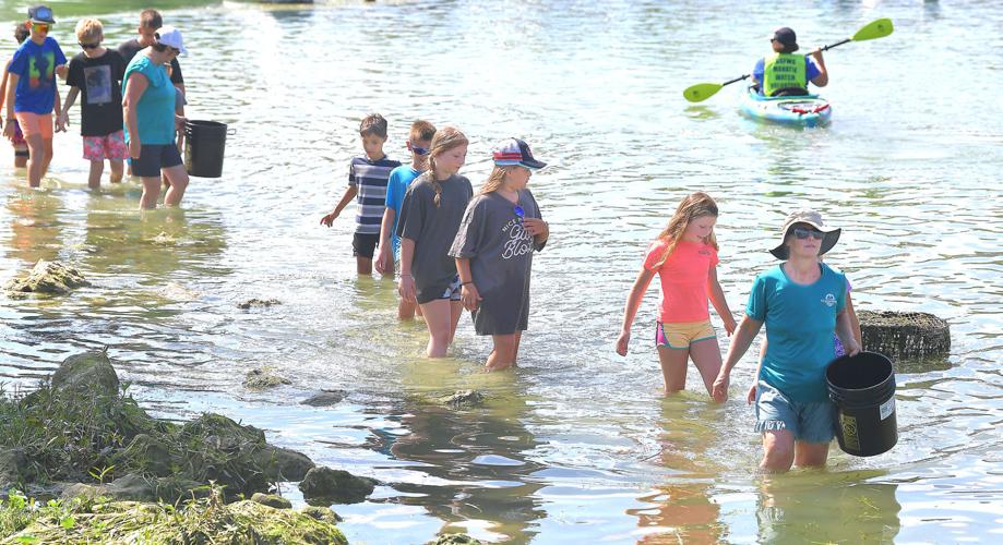 CRPS students plant eelgrass, save Kings Bay in process | Local News ...