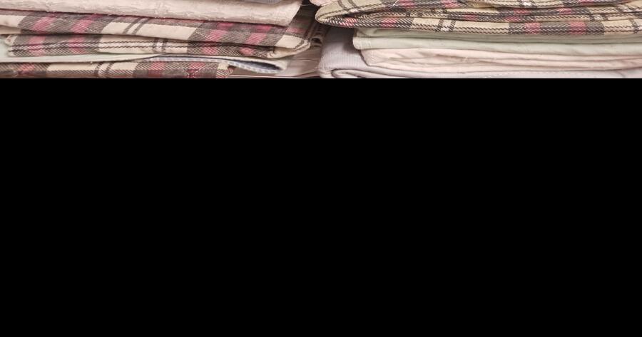 CC Adoptable Rhea | Local News | chronicleonline.com