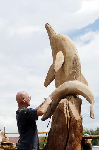 A cut above | News | chronicleonline.com