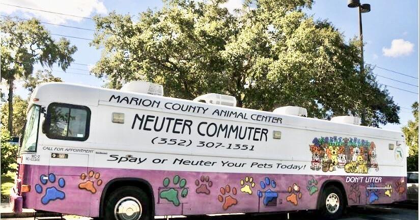 Neuter Commuter reinstated to combat homeless animal problem | Local ...