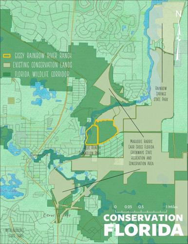 Gissy property acquisition protects corridor along Rainbow River ...